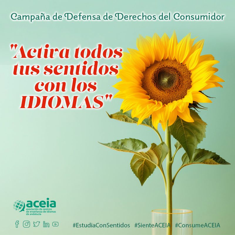GUÍA DE CONSEJOS PARA ELEGIR UNA ACADEMIA DE IDIOMAS - Aceia